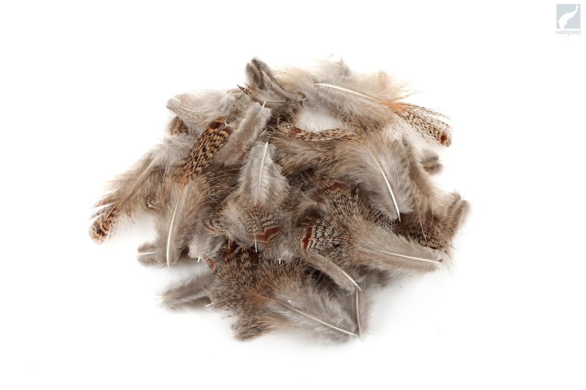Veniard English Partridge Brown Back | Veniard | Mistpool