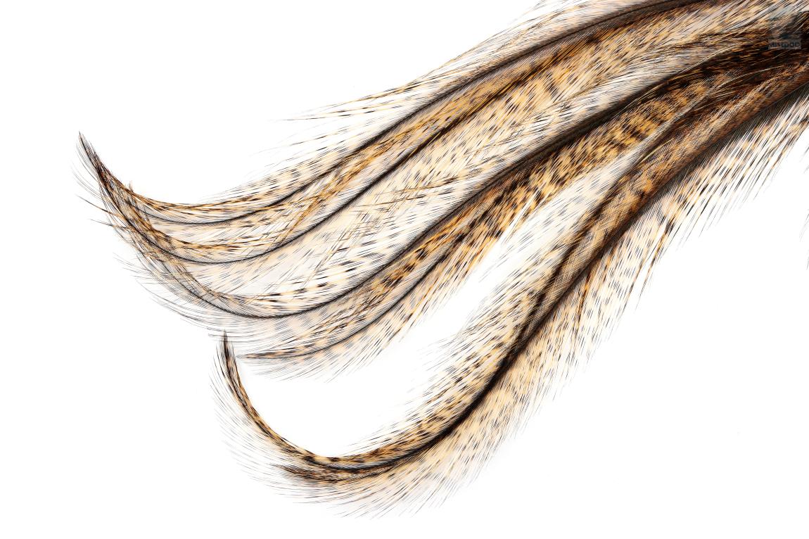Whiting Coq de Leon Euro Nymph Tailing Pack | Whiting | Mistpool